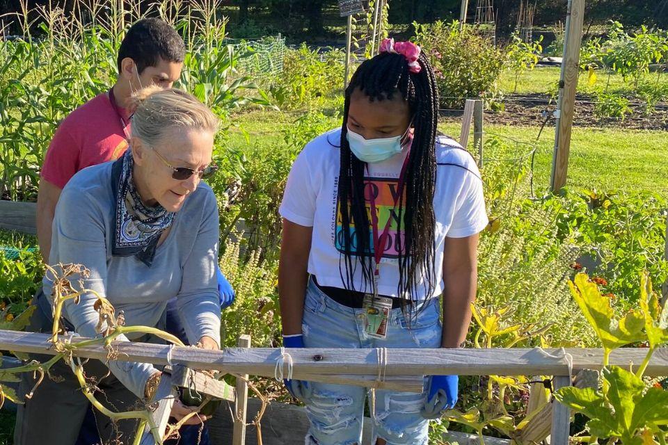 St. Peter’s By-The-Sea Victory Garden: Growing Bigger Every Day ...